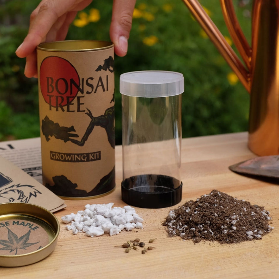 Bonsai Tree Growing Kits & More | J-Life – J-Life International