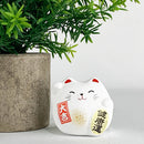 Feng Shui Cat - Japanese Best Fortune Cats | Jlife – J-Life International
